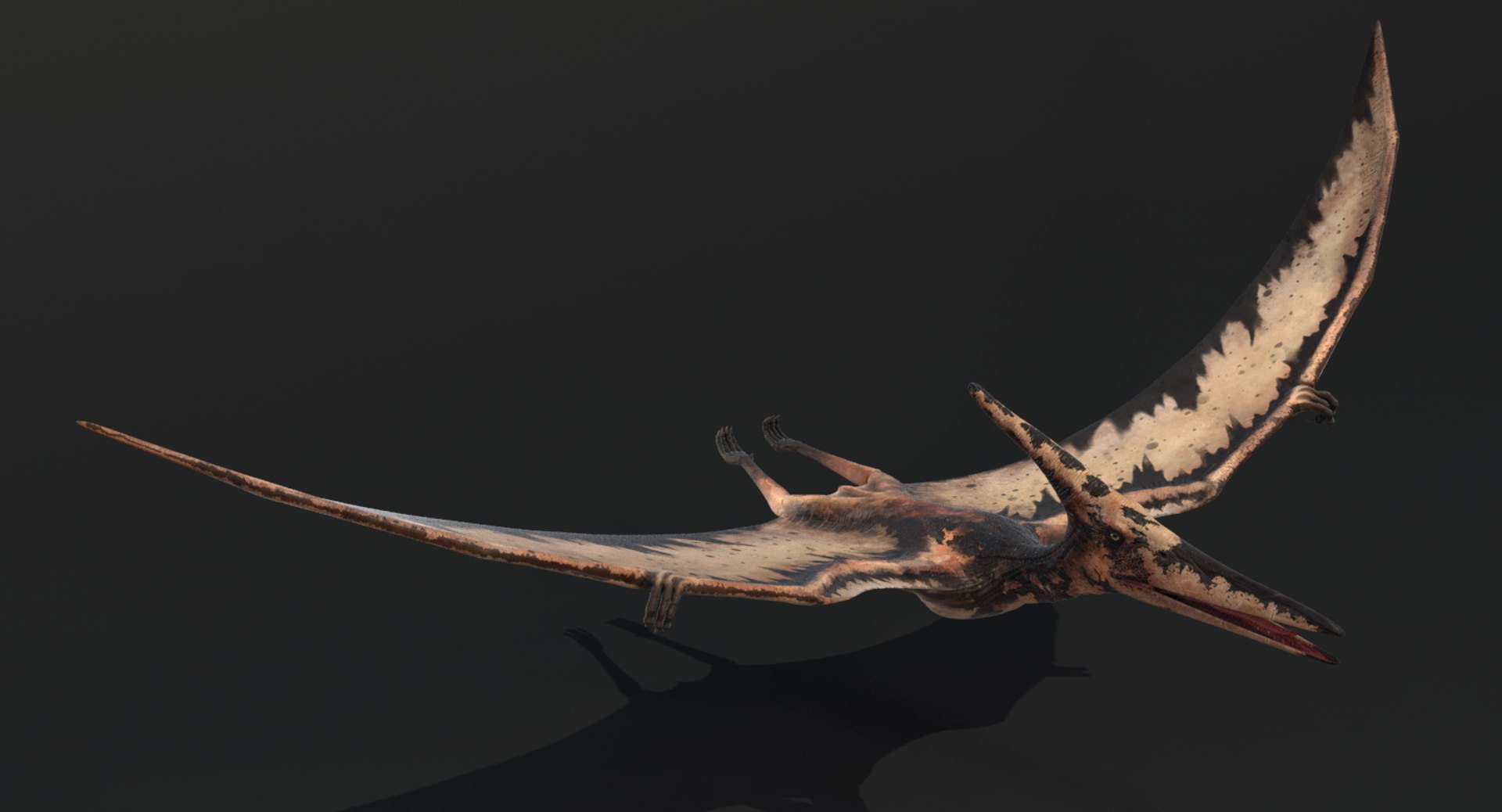 realistic pteranodon rigged 3d model