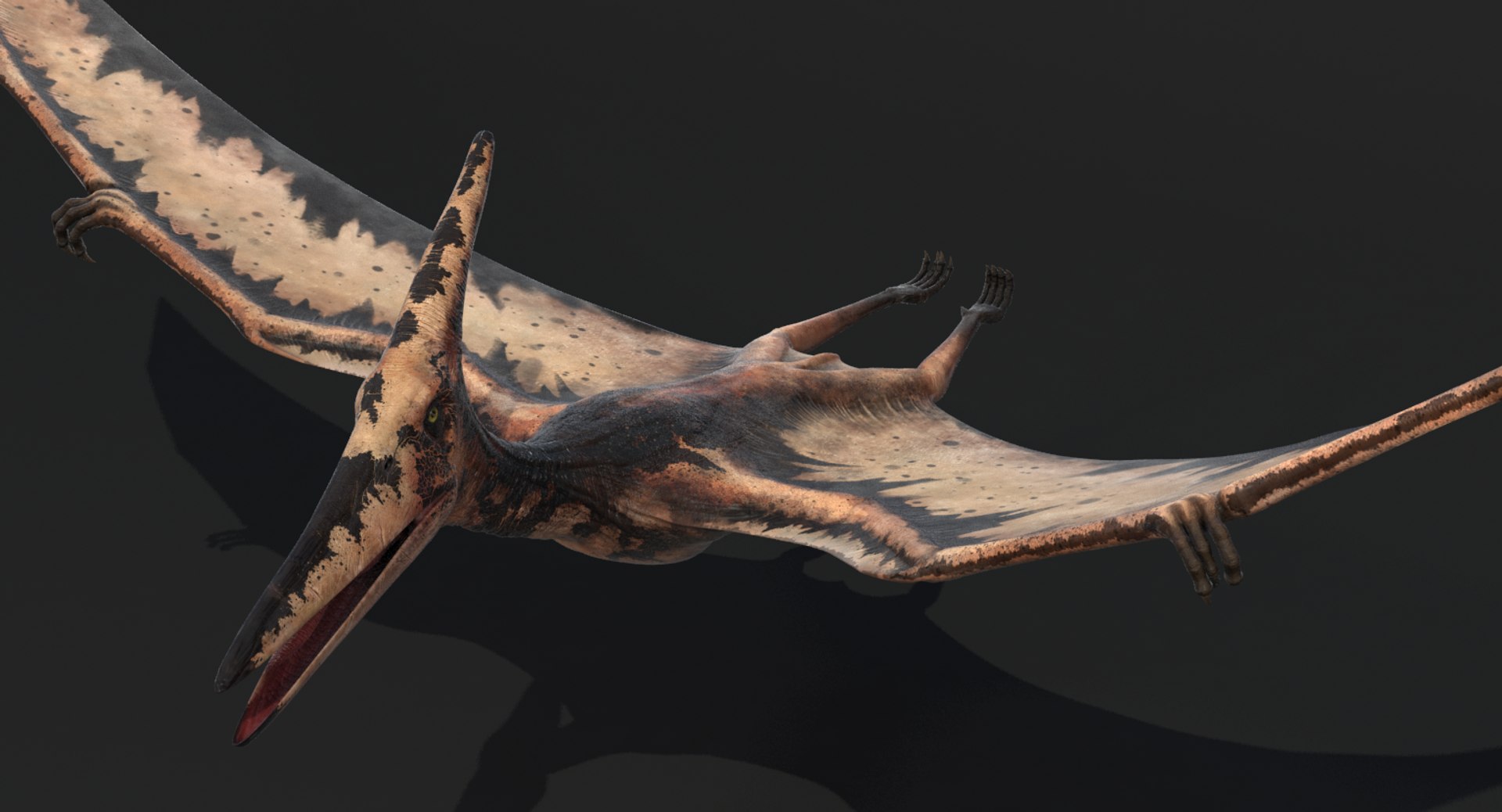 realistic pteranodon rigged 3d model