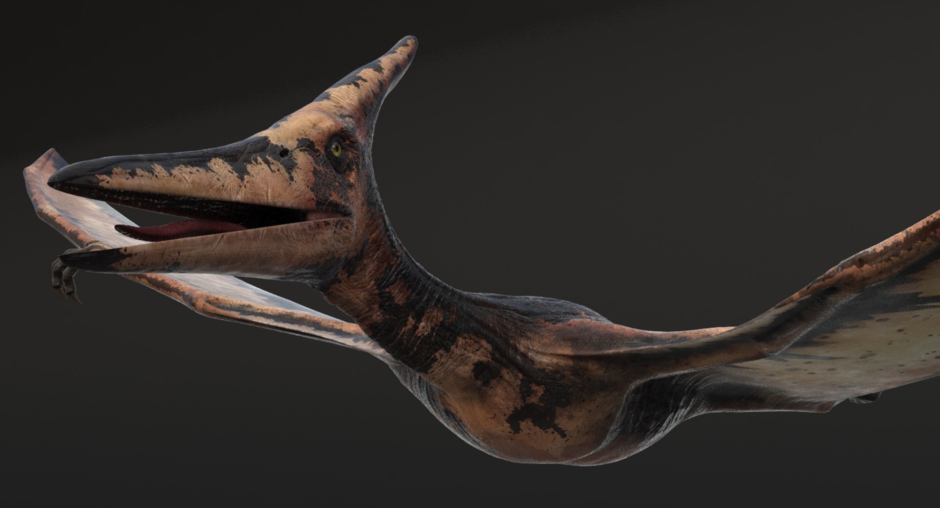 realistic pteranodon rigged 3d model