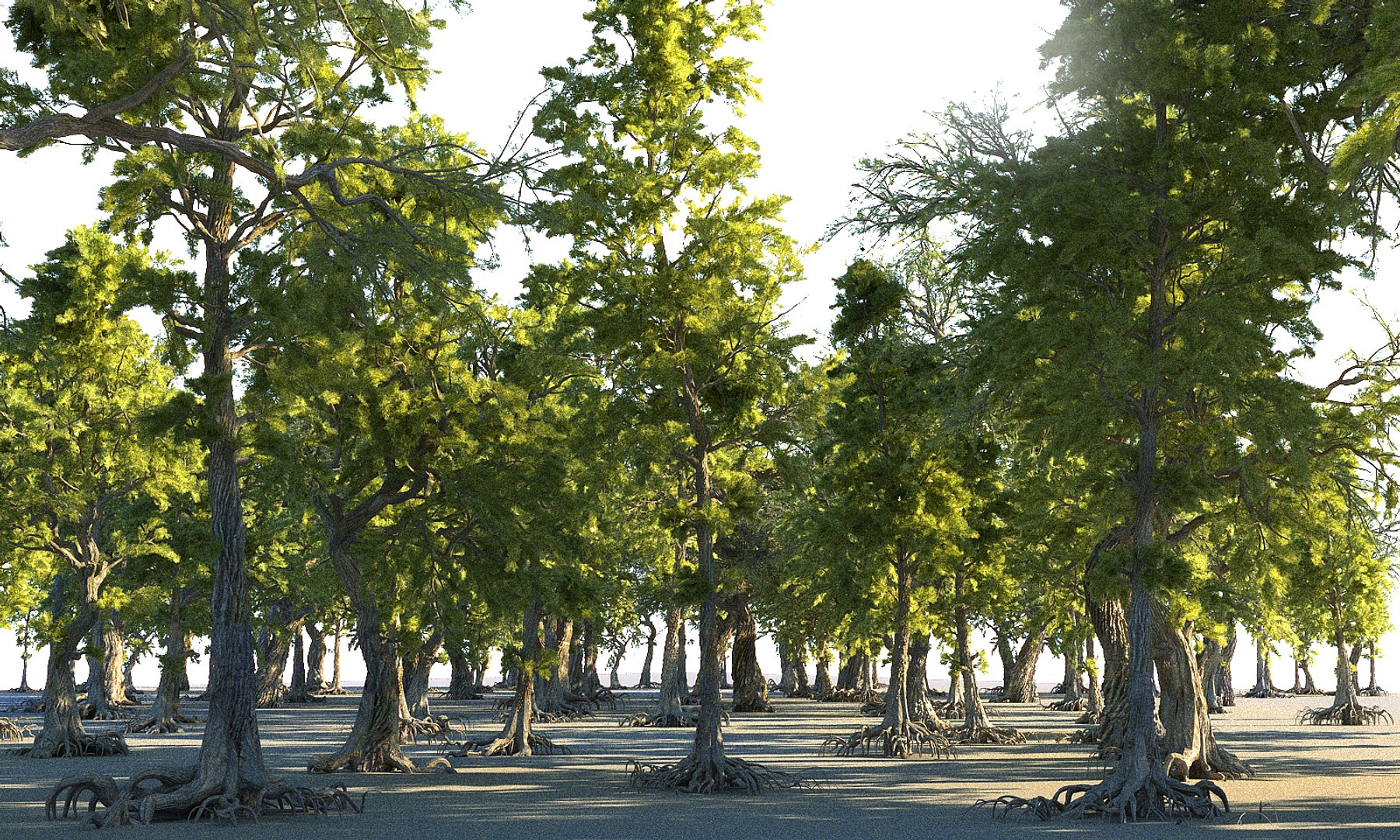 Pine Tree Pack 3D Model - TurboSquid 1364121