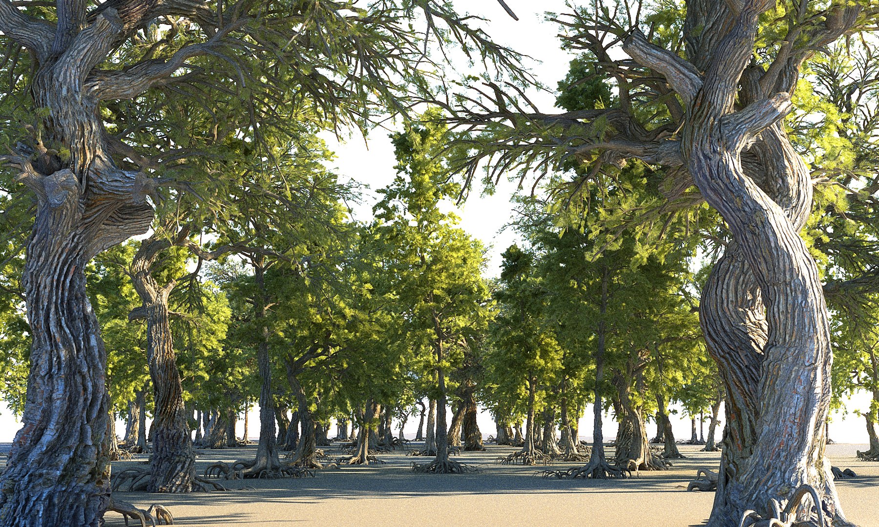 Pine Tree Pack 3D Model - TurboSquid 1364121