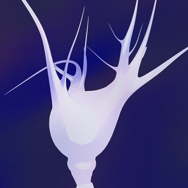brain cell 3d model