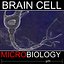 Brain Cell 3d Model