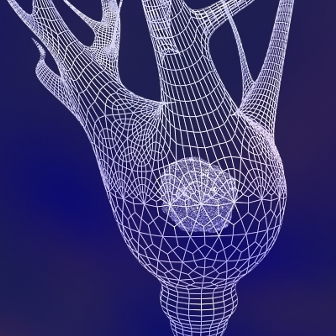 Brain Cell 3d Model