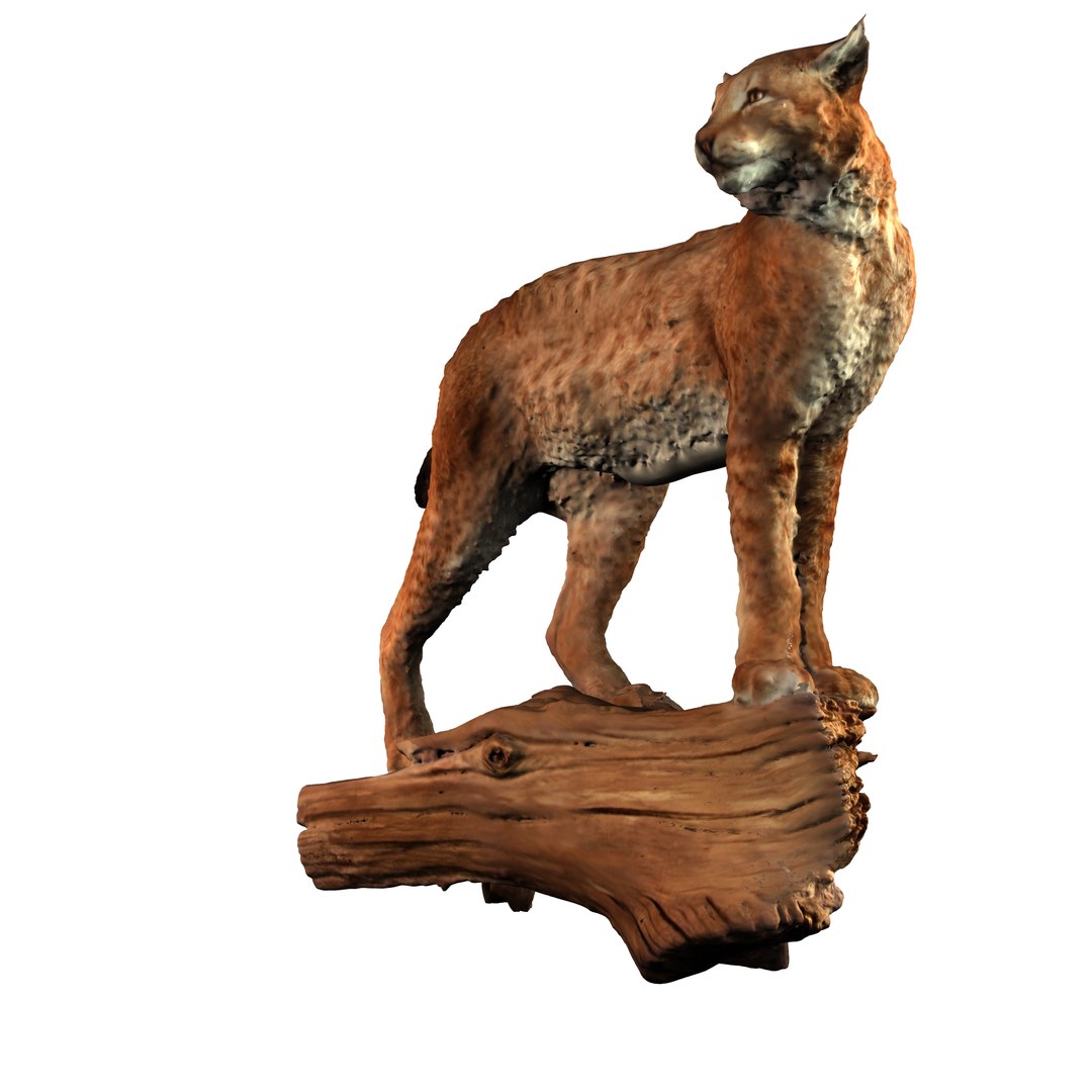 3d Lynx