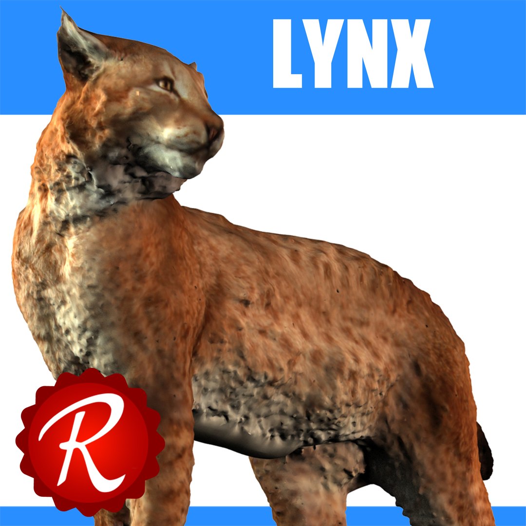 3d Lynx