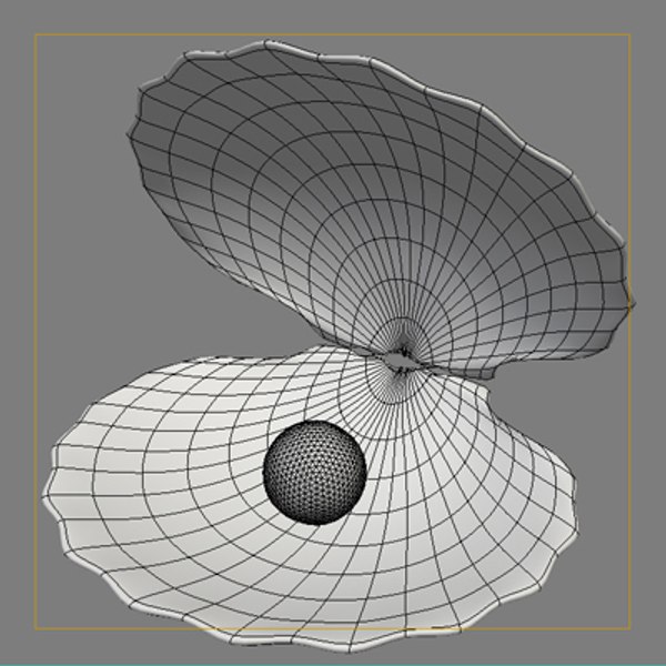 sea shell 3d model