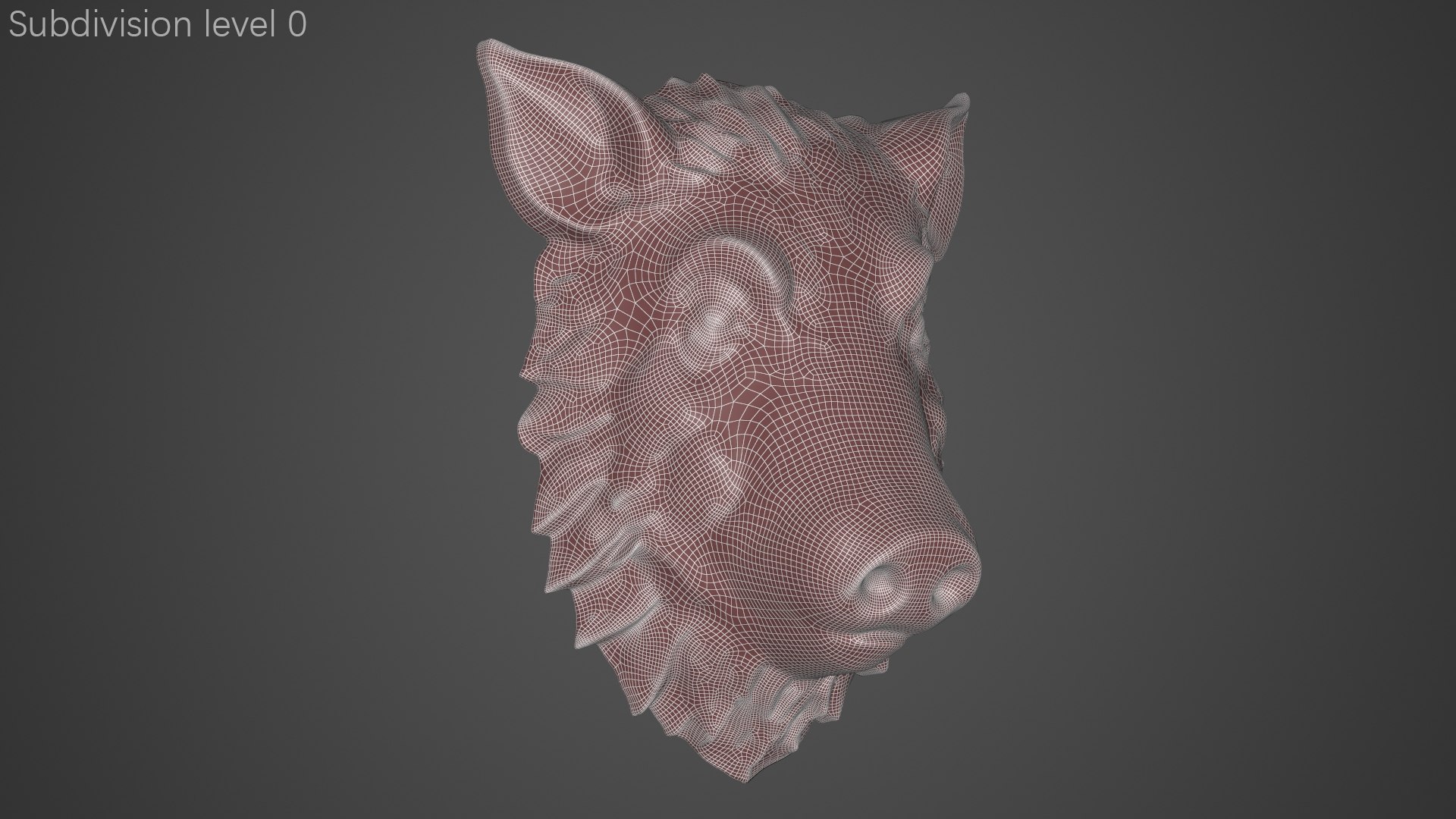 3D Wild Boar Head Mount Textured 1 - TurboSquid 2271319