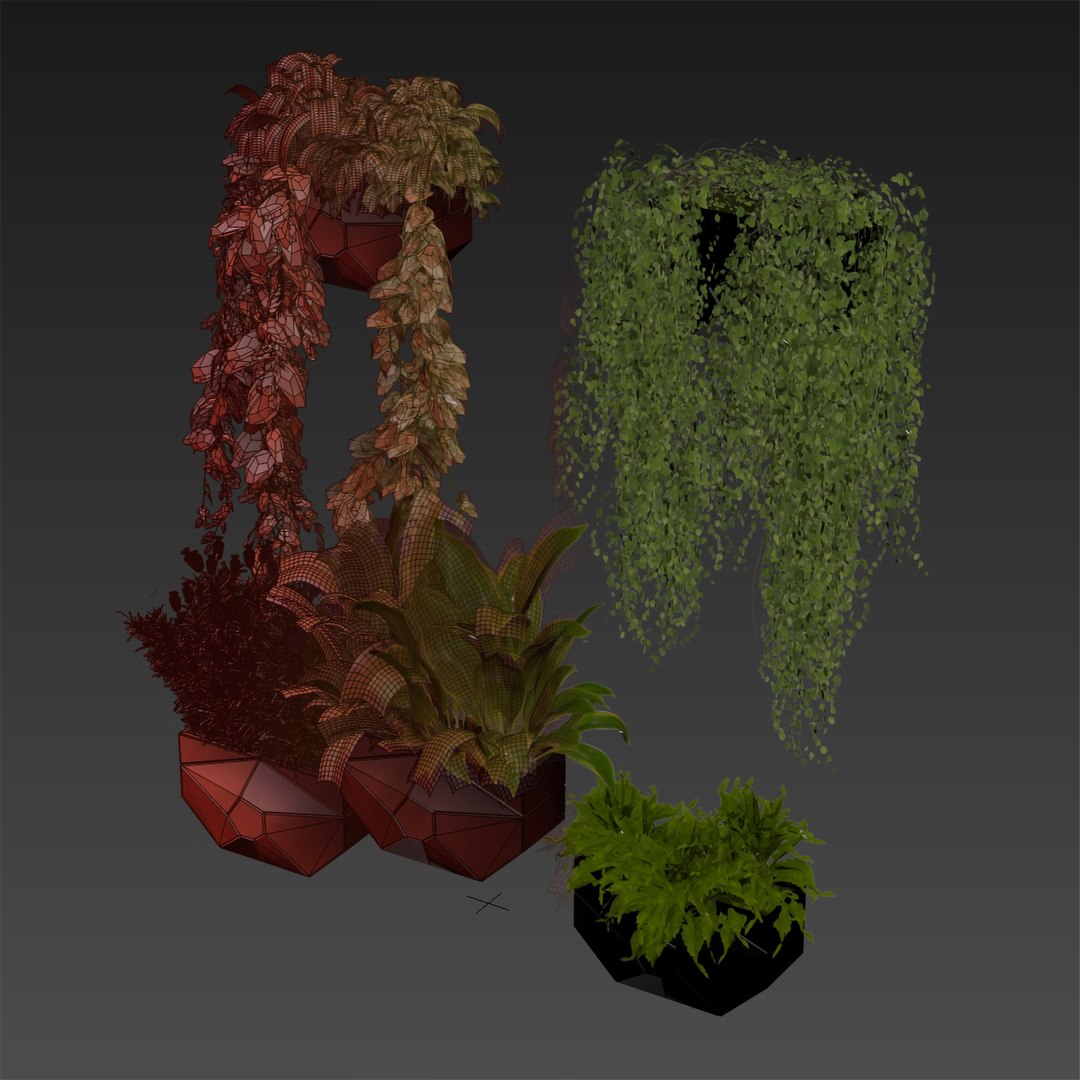Collection Plant Vol 501 - Blender 3D Model - TurboSquid 2102481