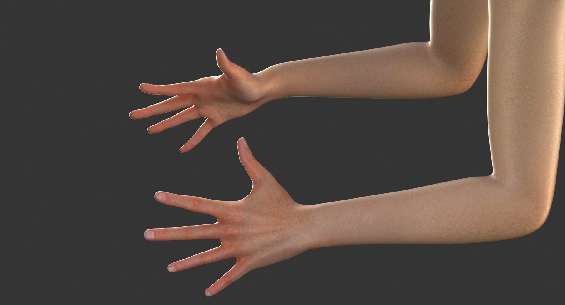 3D Female Arms Model - TurboSquid 1423757