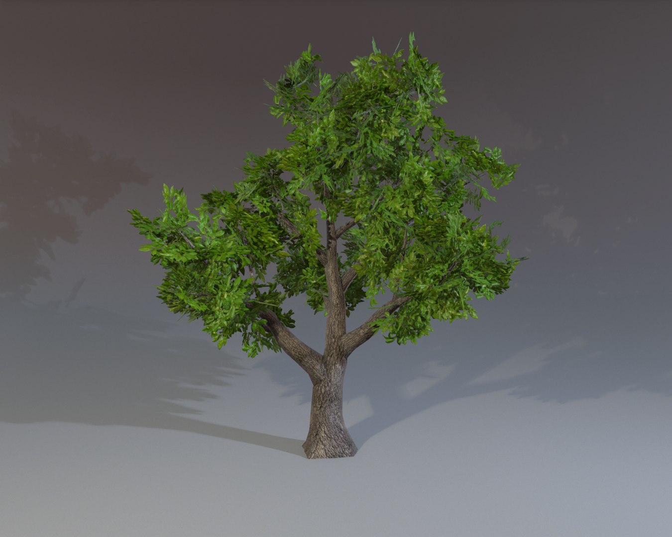 Ready Tree Maps 3d Max