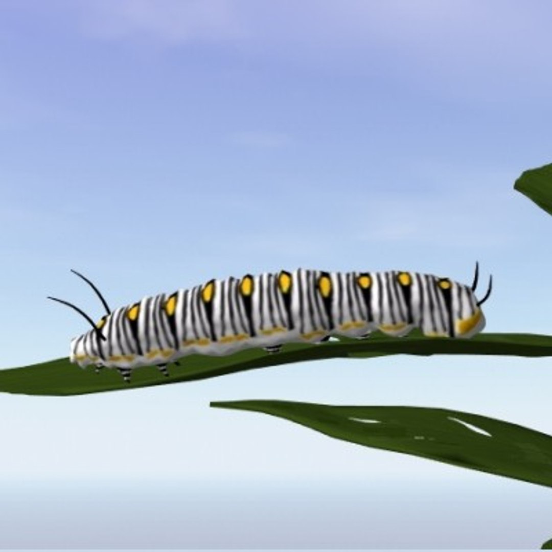 3d Model Monarch Caterpillar