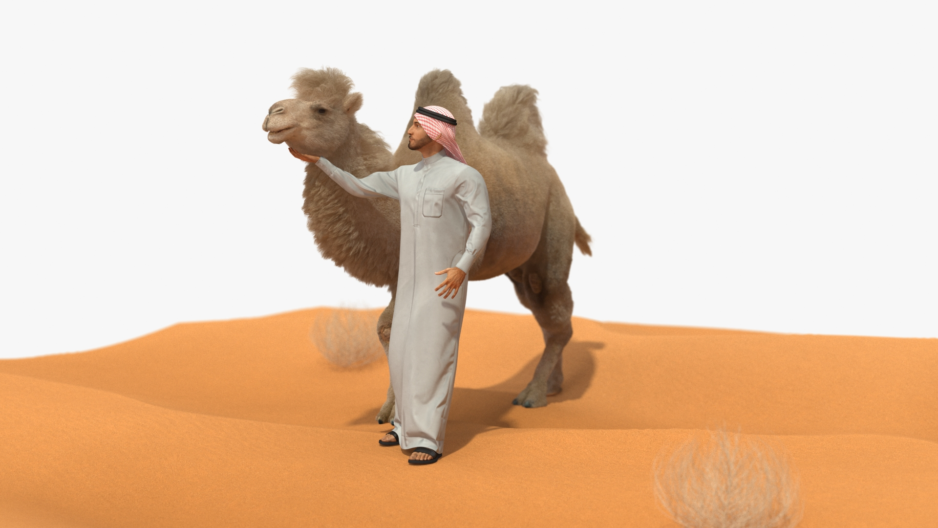 3D Arab Man With Camel On Desert Fur - TurboSquid 2273682