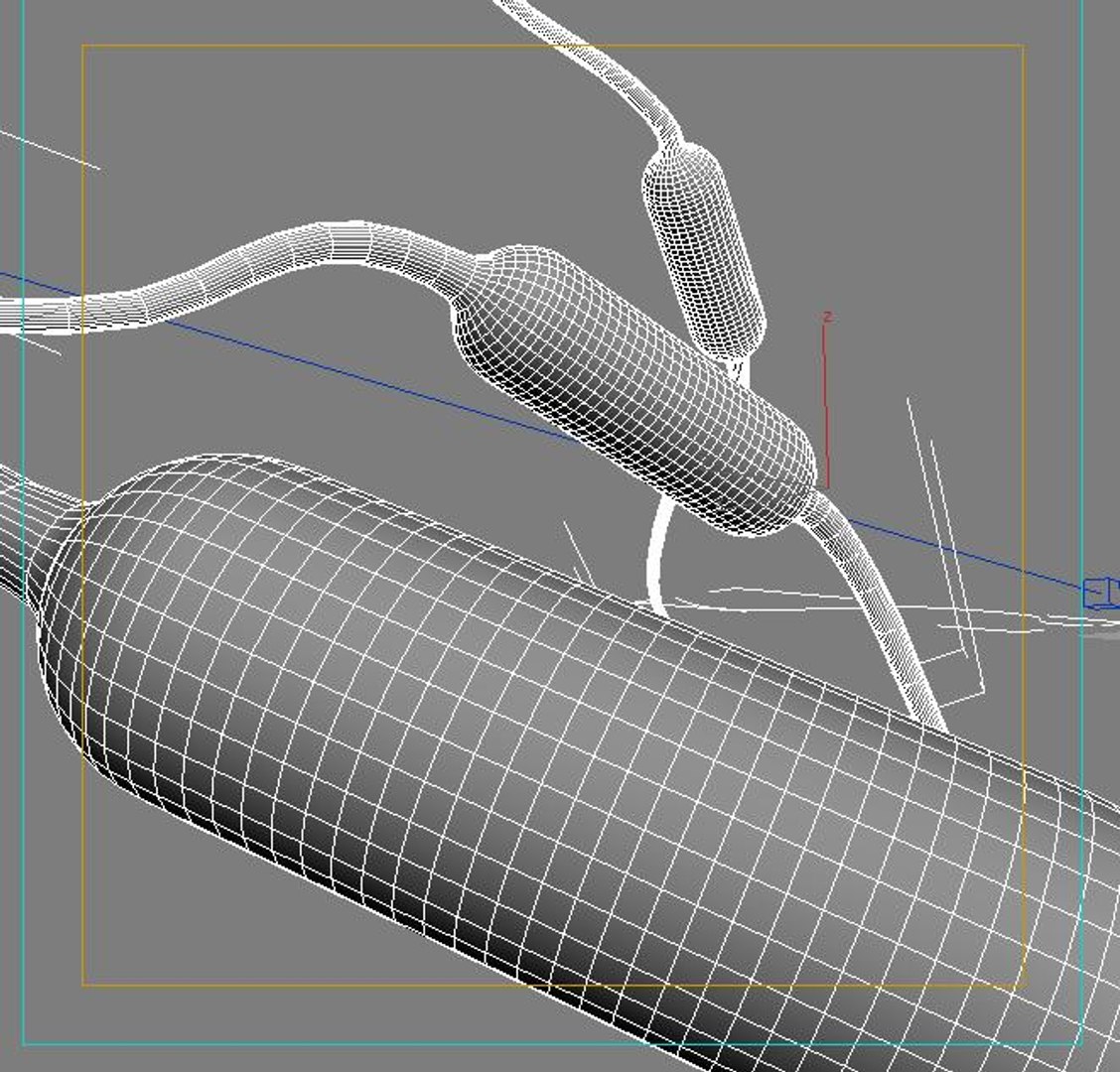 3d Amphitrichous Bacteria