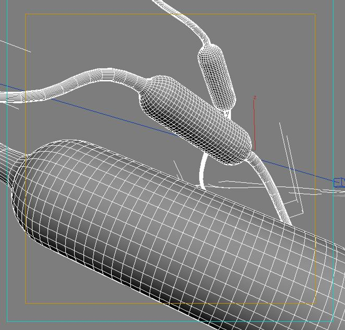 3d amphitrichous bacteria