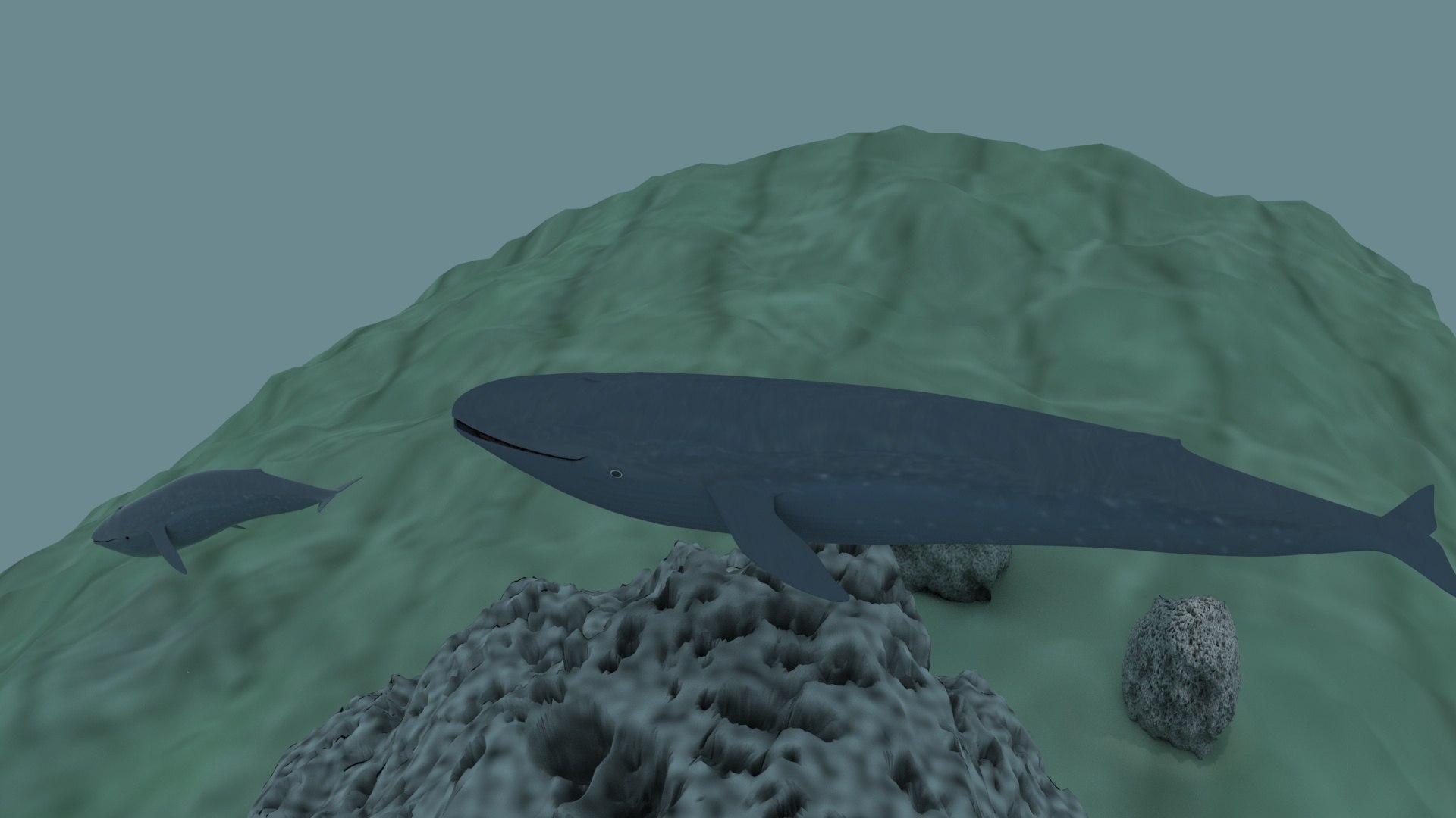 Giant Whales 3D - TurboSquid 2206285