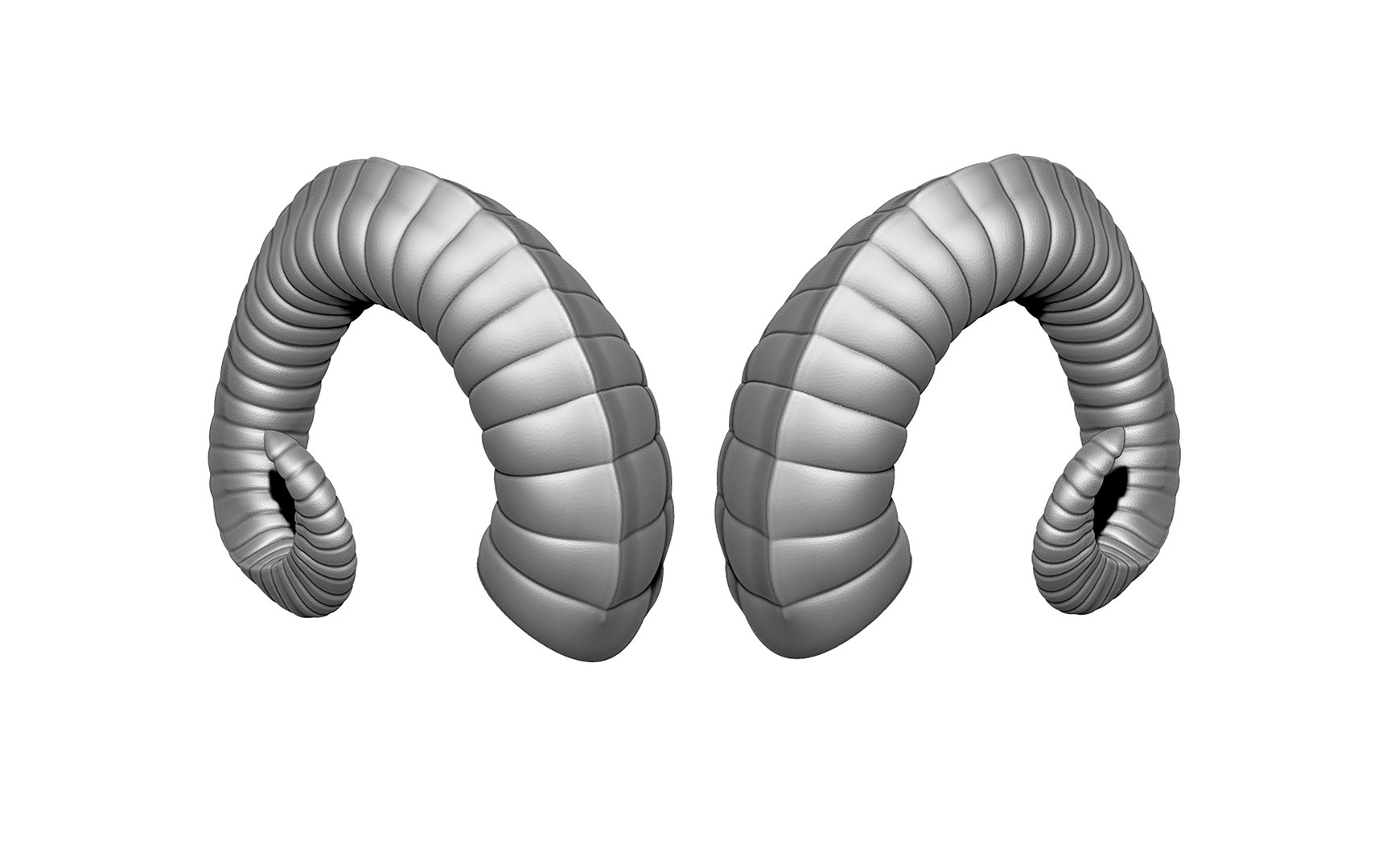 3D HORN 5 High Poly Sculpt 3D Model - TurboSquid 2257645