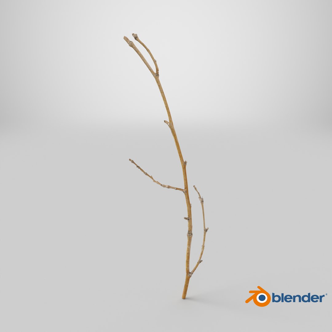 3D Model Scanned Sprig 08 StemCell - TurboSquid 2398690