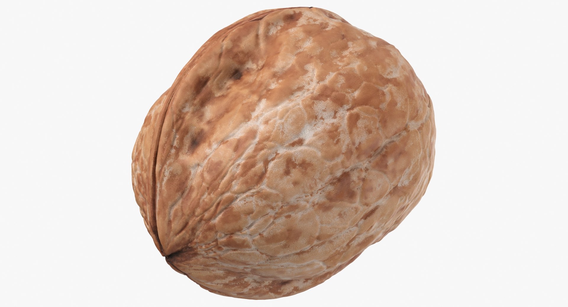 Walnut 02 model - TurboSquid 1438539