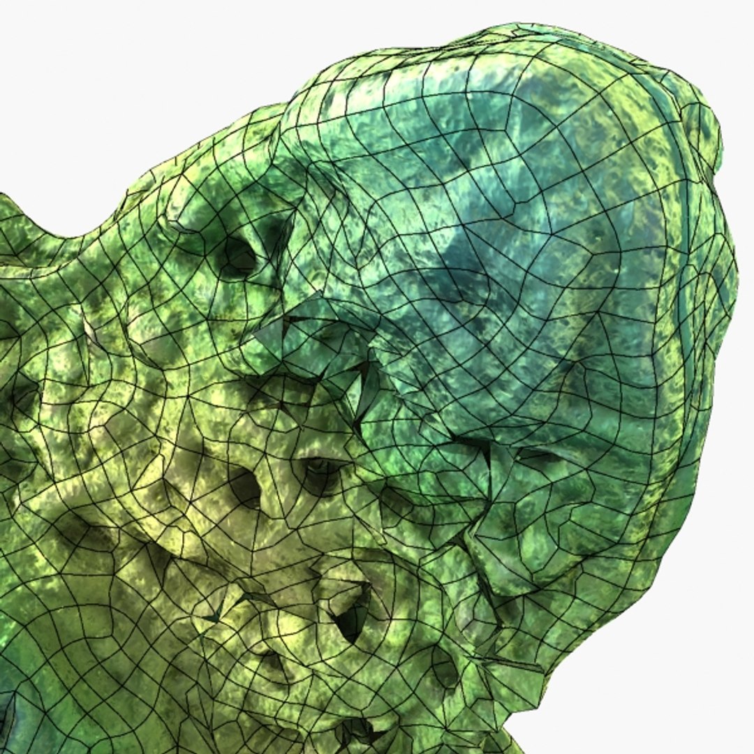 3d Protist Diatom Model