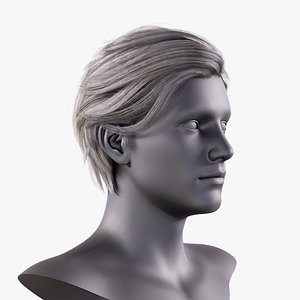 Download 3D Hair Blender Models - TurboSquid
