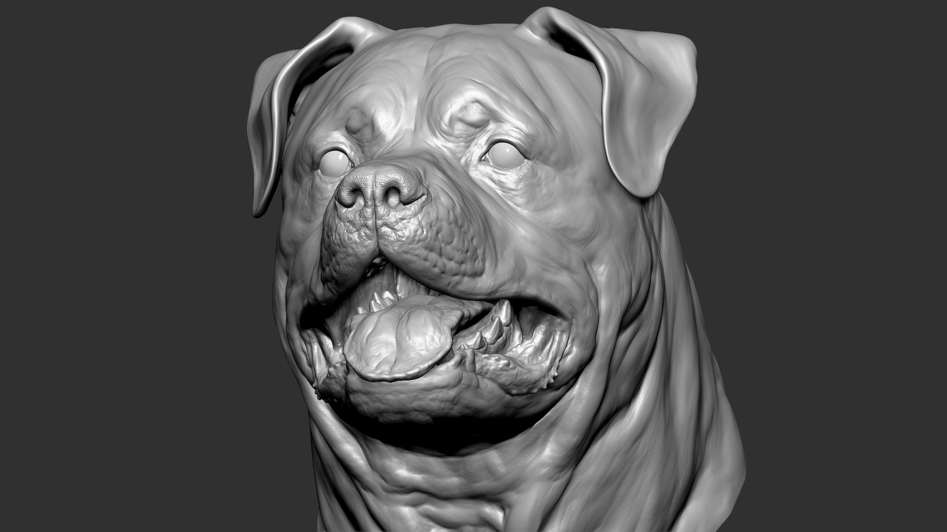 3D Rottweiler Dog Head - TurboSquid 1889449
