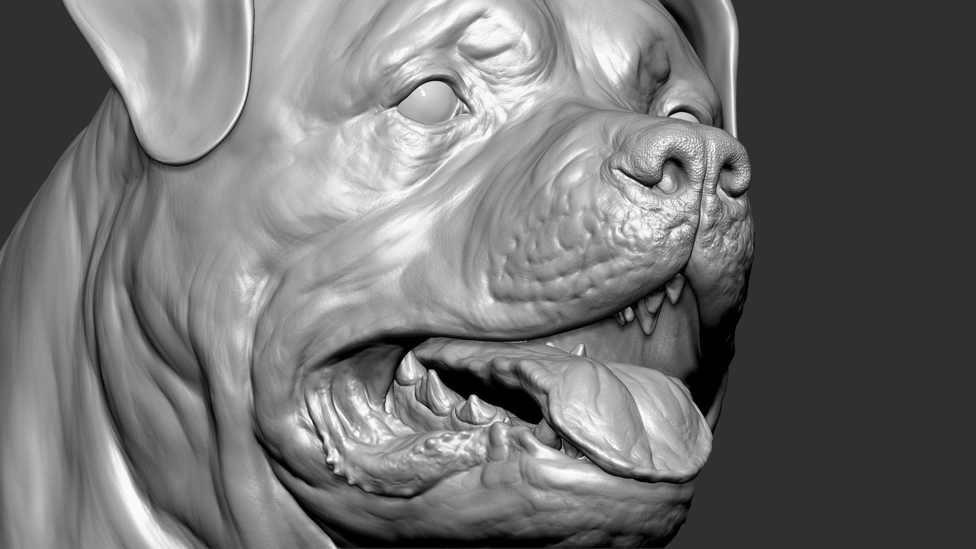 3D Rottweiler Dog Head - TurboSquid 1889449