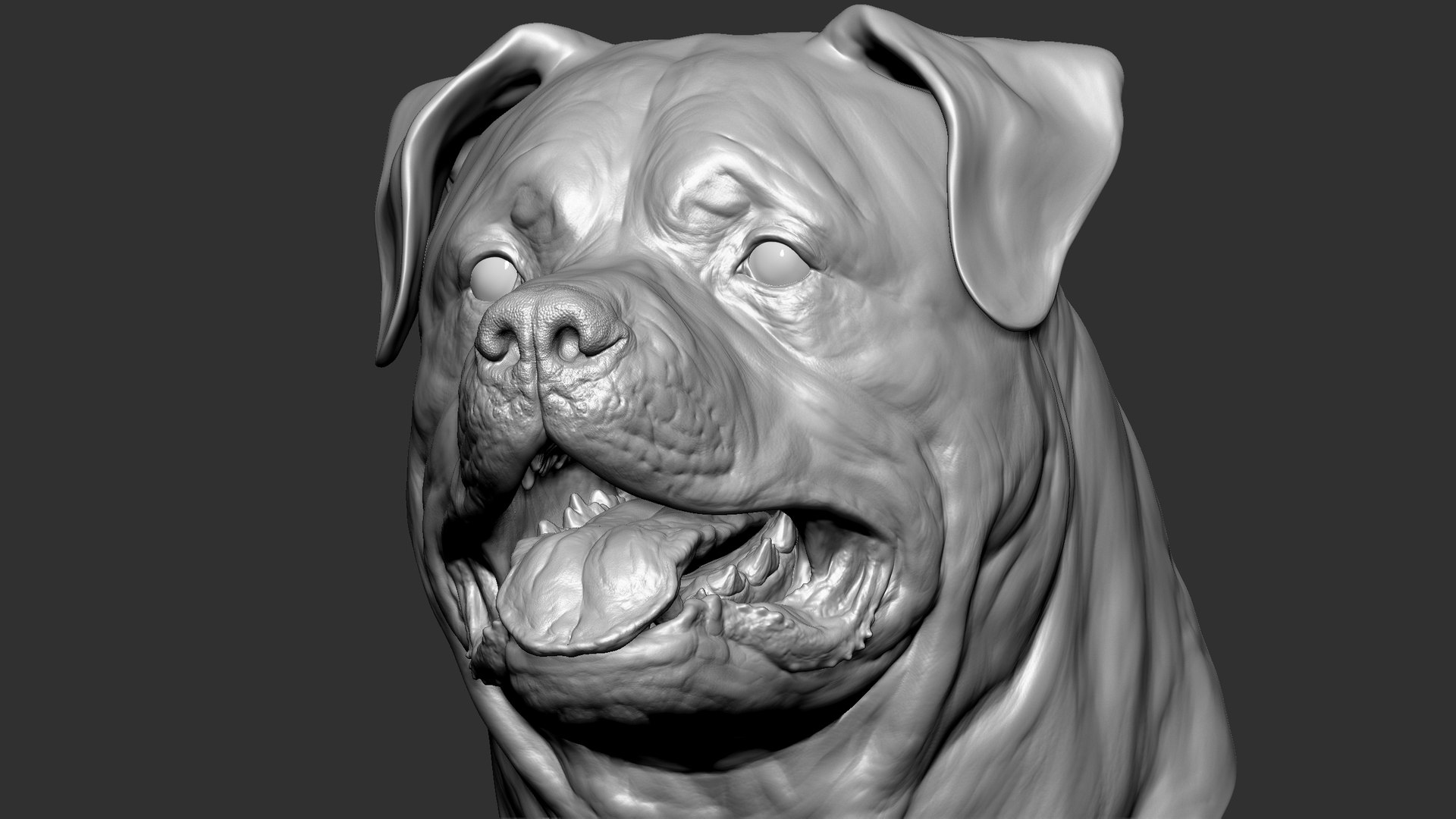 3D Rottweiler Dog Head - TurboSquid 1889449