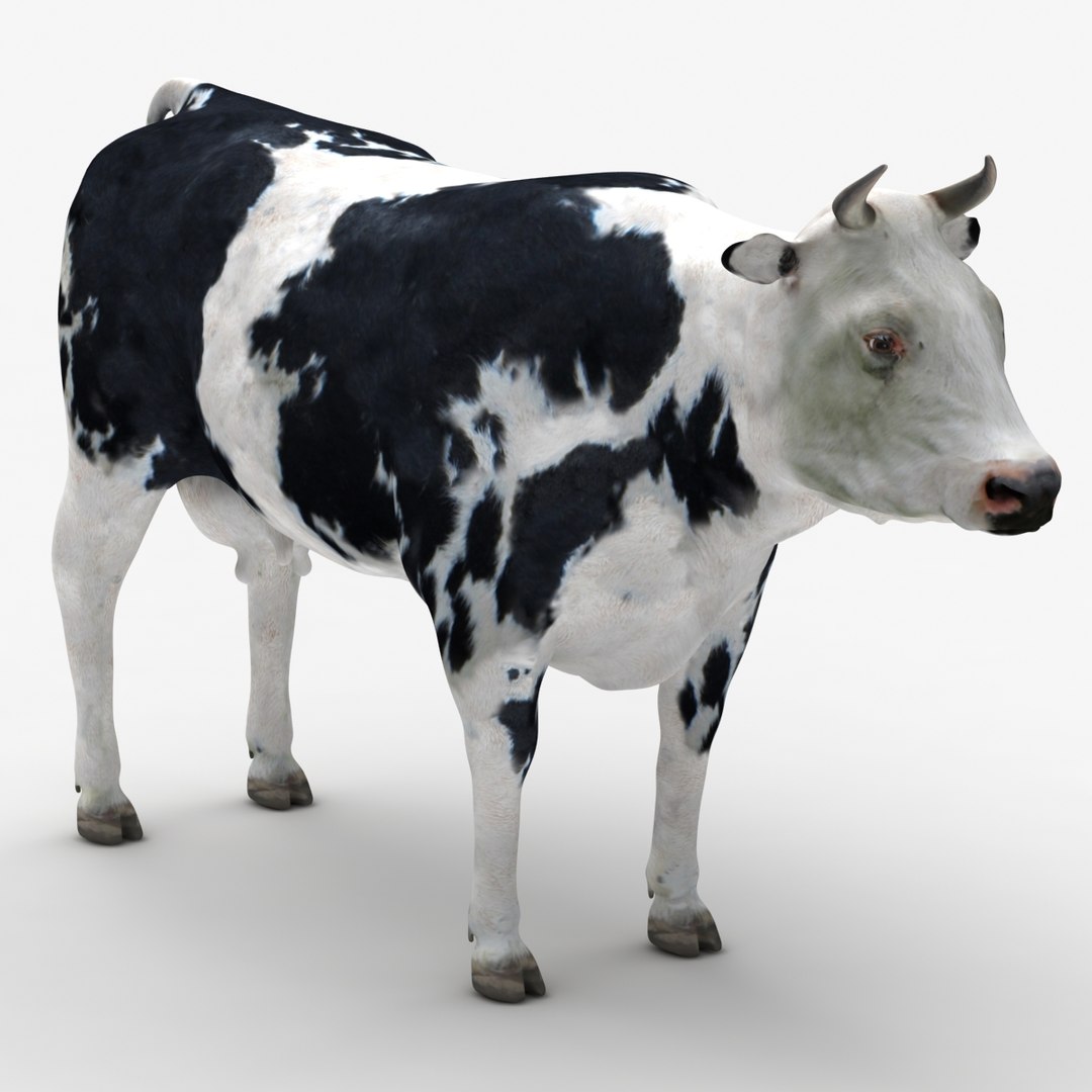 Dugm02 Cow 03 3d Max