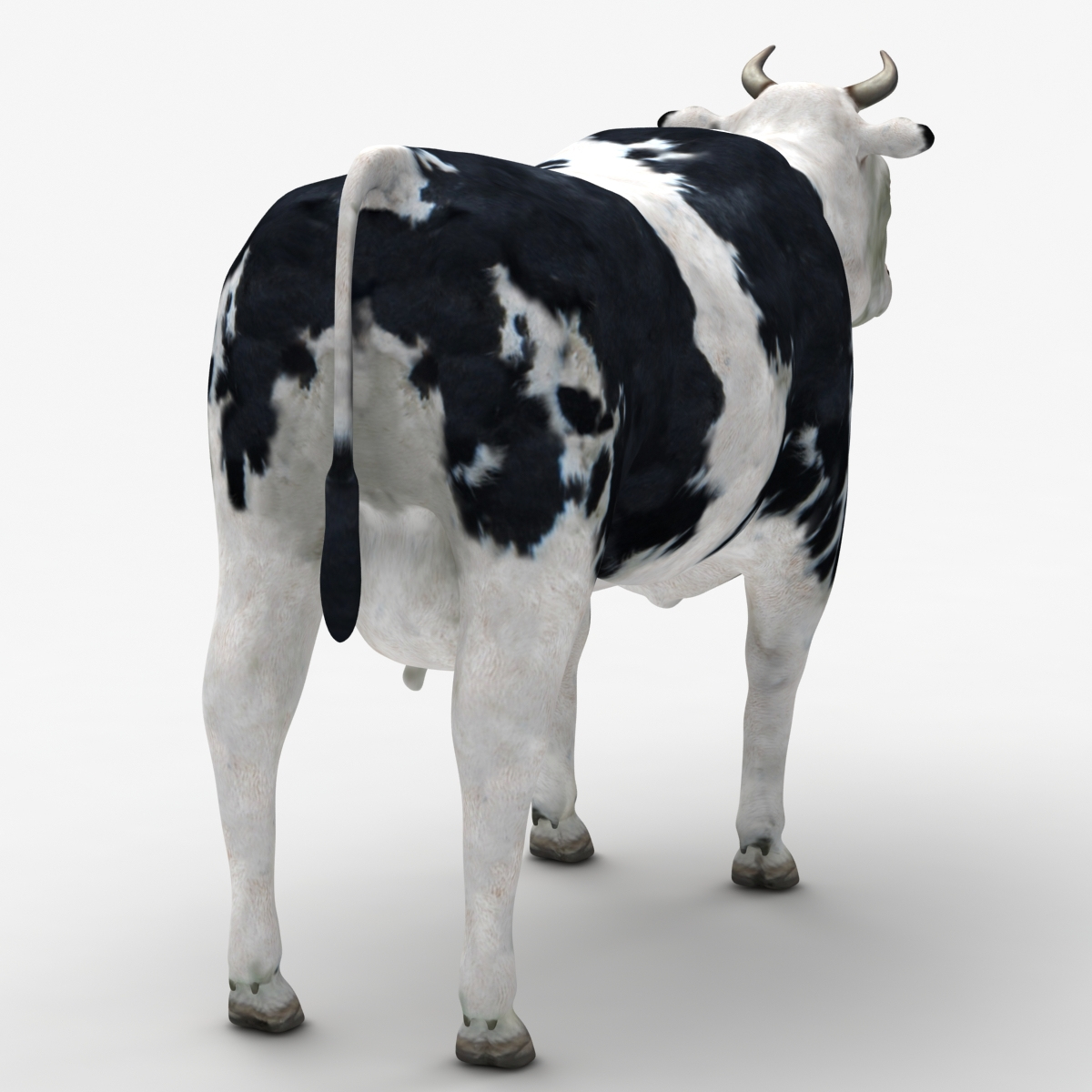 dugm02 cow 03 3d max