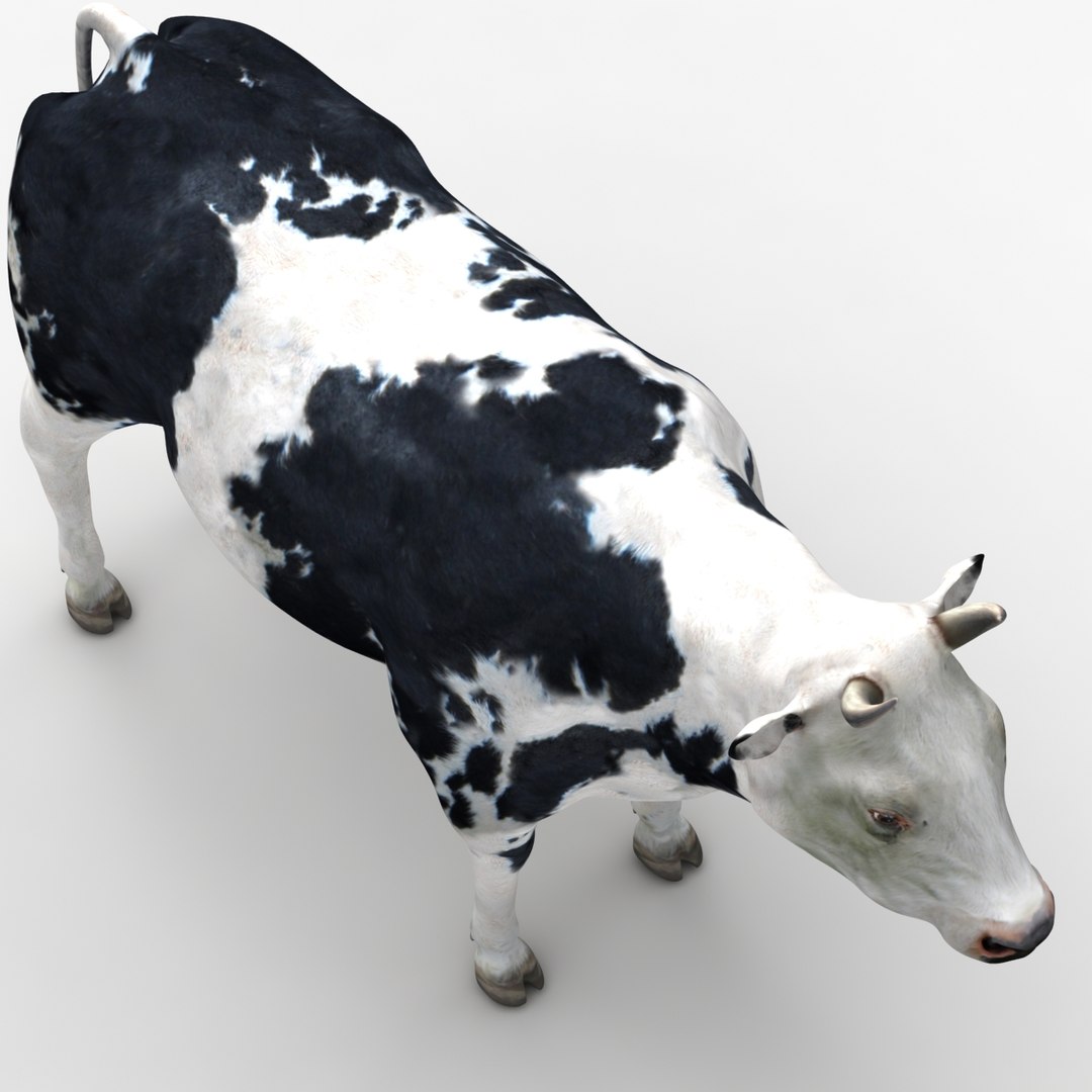Dugm02 Cow 03 3d Max