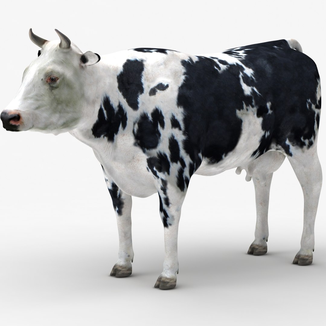 Dugm02 Cow 03 3d Max