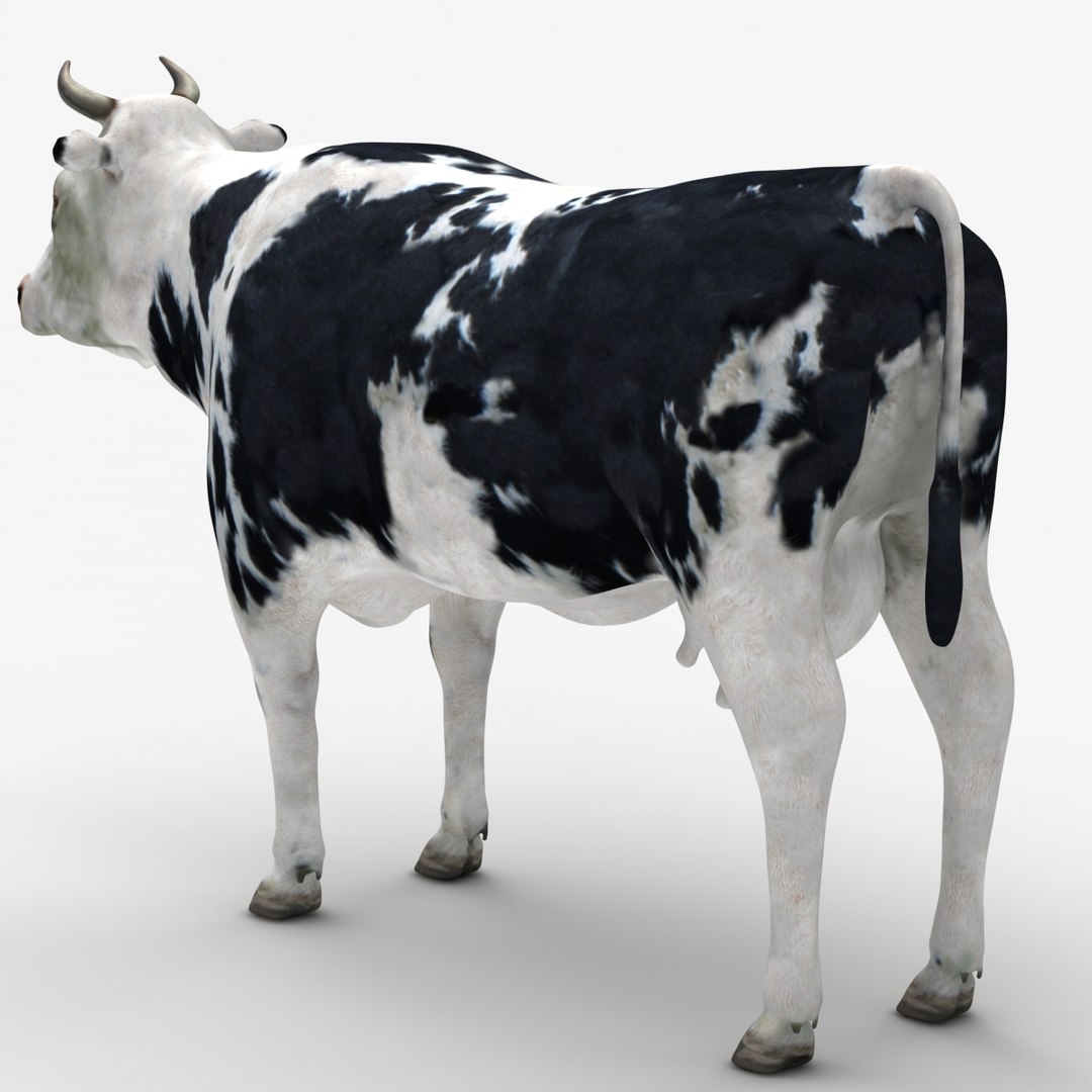 Dugm02 Cow 03 3d Max
