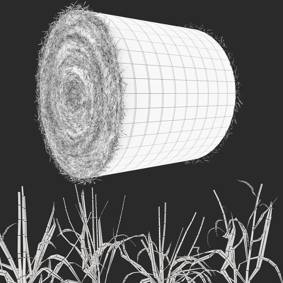 Farm Field With Hay Bale 3D - TurboSquid 1942570