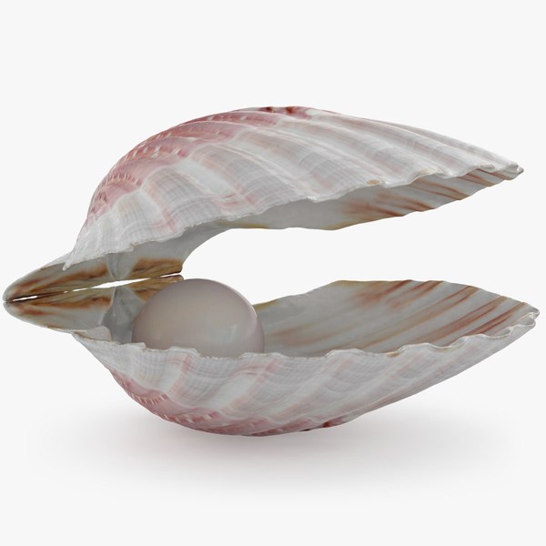 modelo 3d Perla de concha de almeja 01 - TurboSquid 2228250
