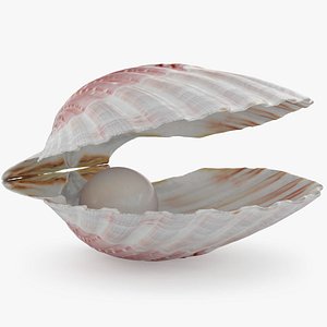 animated pearl shell