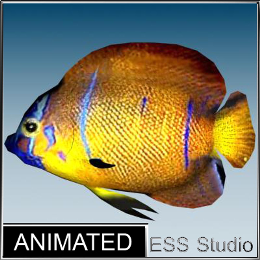 Tropical Fishes 4 Max