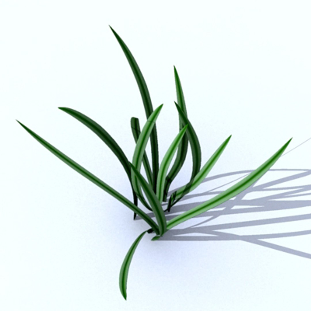 3d Model Tuft Grass Lawn