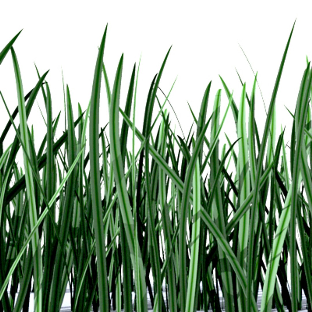 3d Model Tuft Grass Lawn
