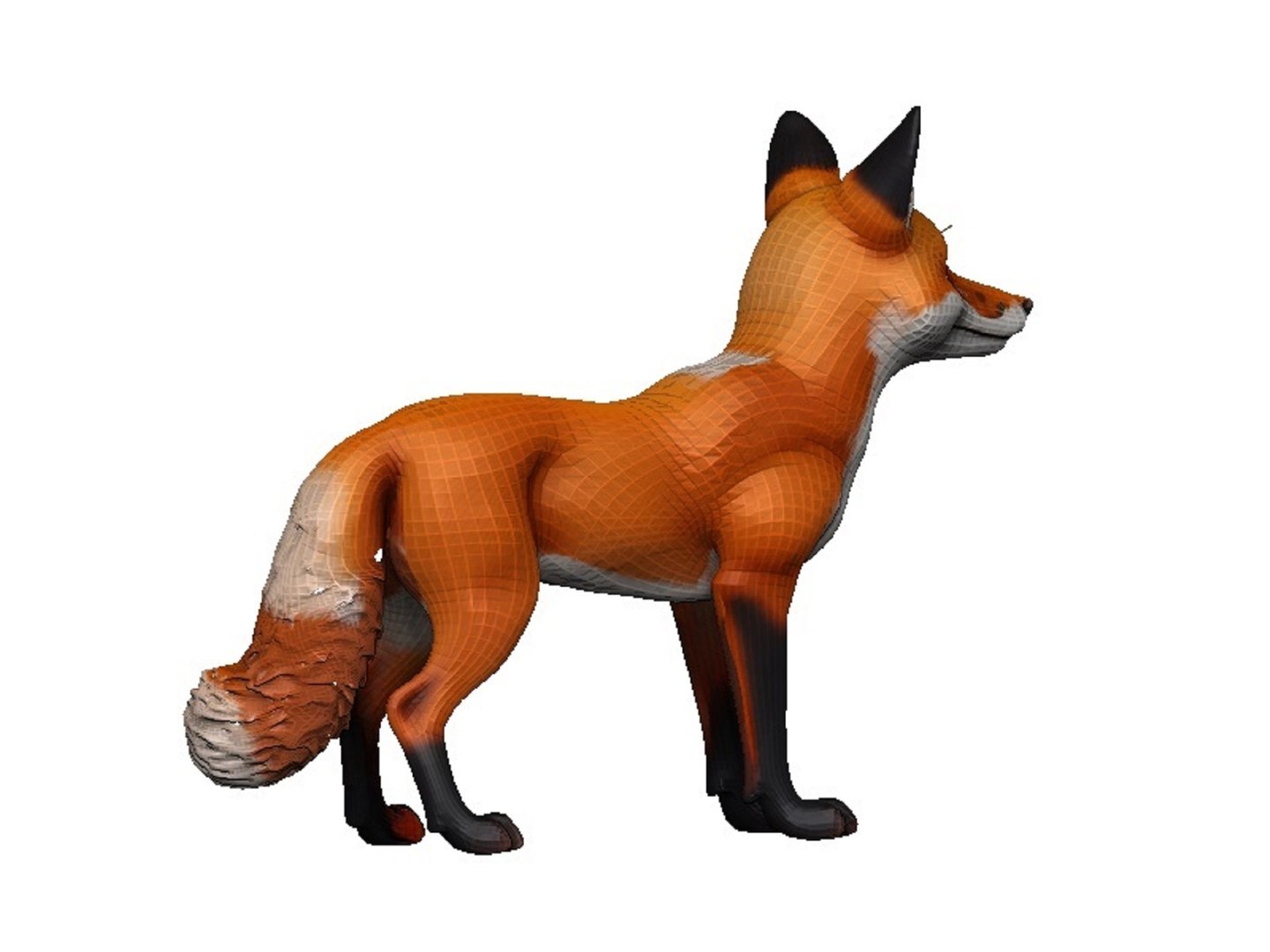 Fox 3D Model - TurboSquid 2435049