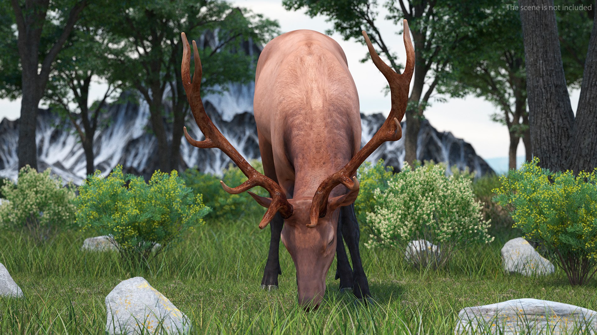 Realistic Elk Rigged For Cinema 4D 3D Model - TurboSquid 2288492