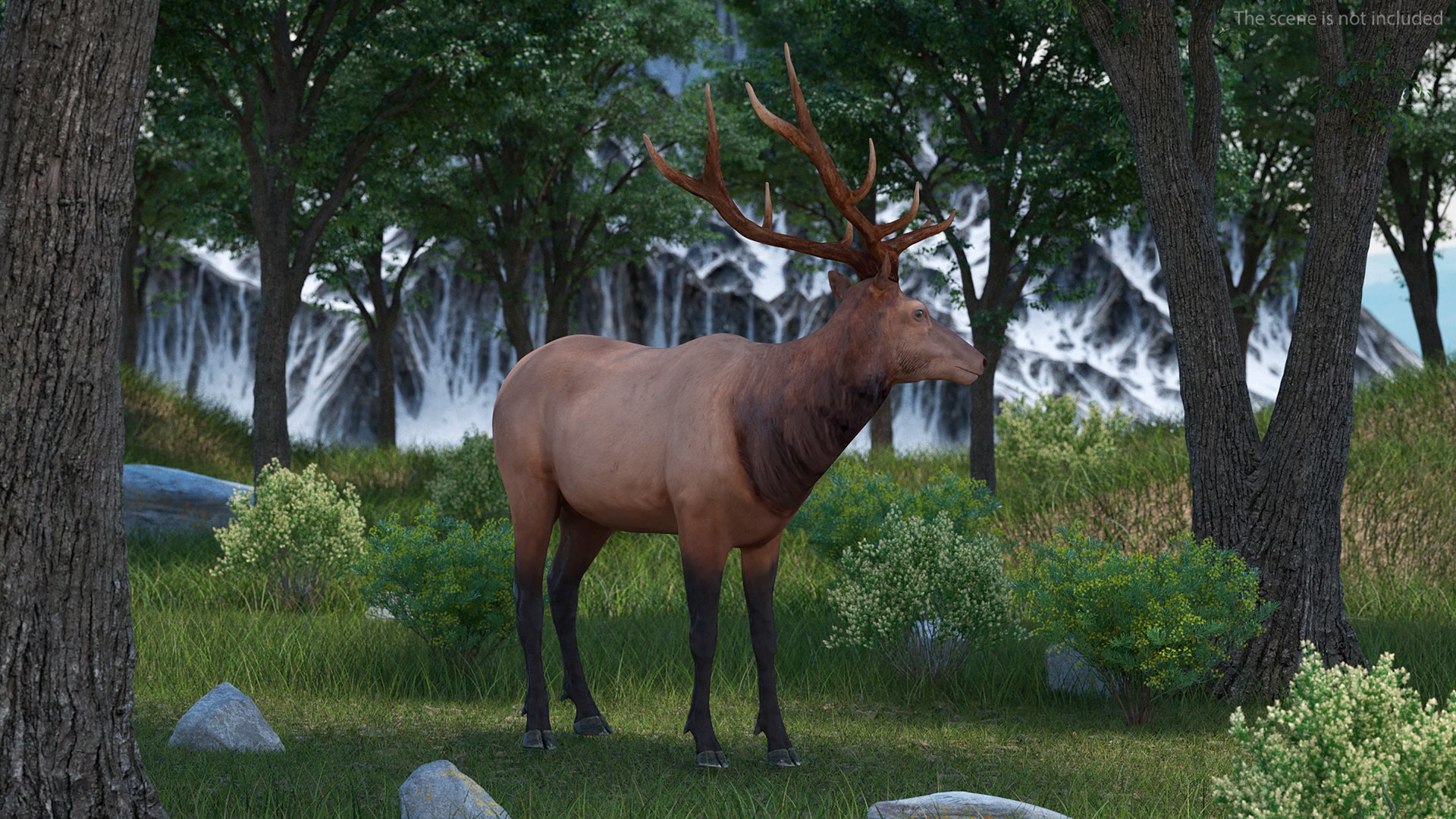 Realistic Elk Rigged For Cinema 4D 3D Model - TurboSquid 2288492