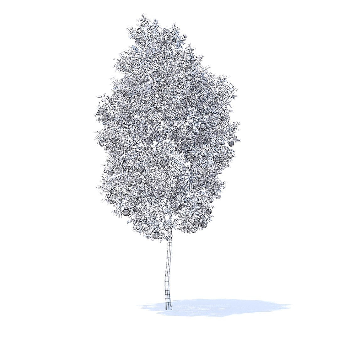Apple Tree 3 8m 3D Model - TurboSquid 1252201