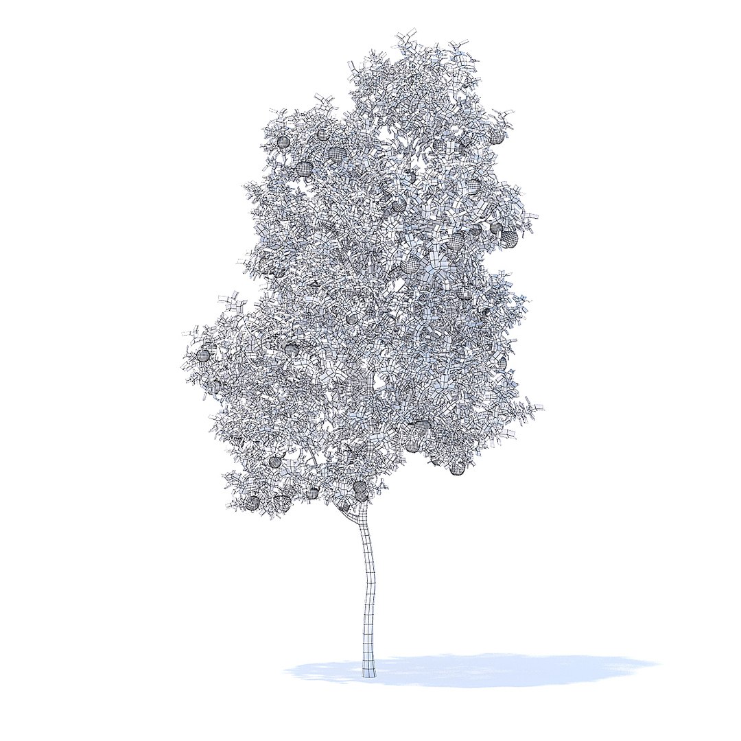 Apple Tree 3 8m 3D Model - TurboSquid 1252201