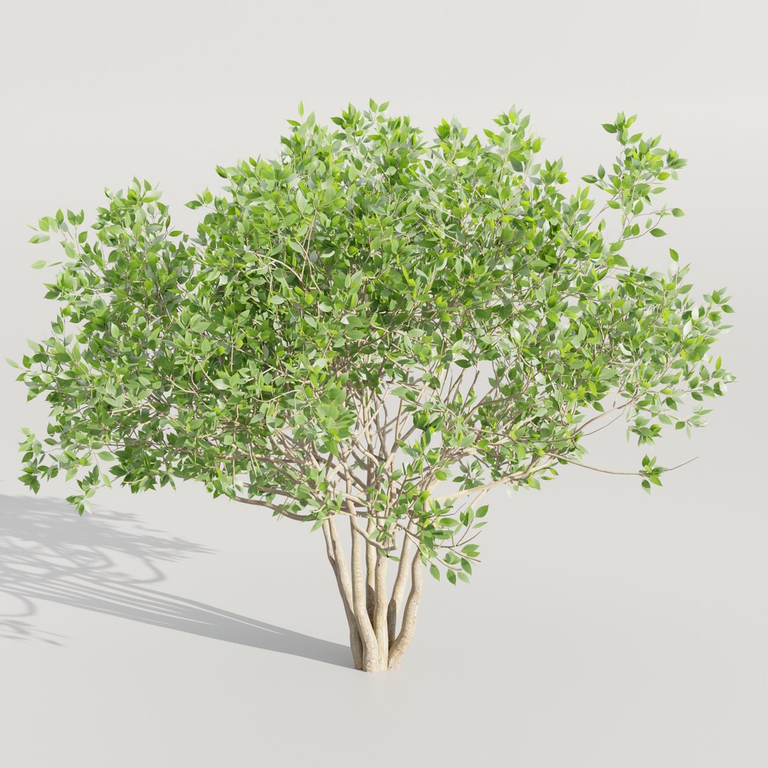 3D collection of bushes vol 164-Blender model - TurboSquid 2154574