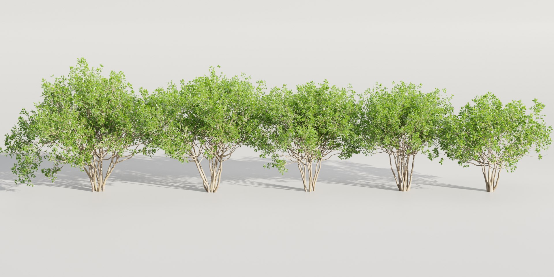 3D collection of bushes vol 164-Blender model - TurboSquid 2154574