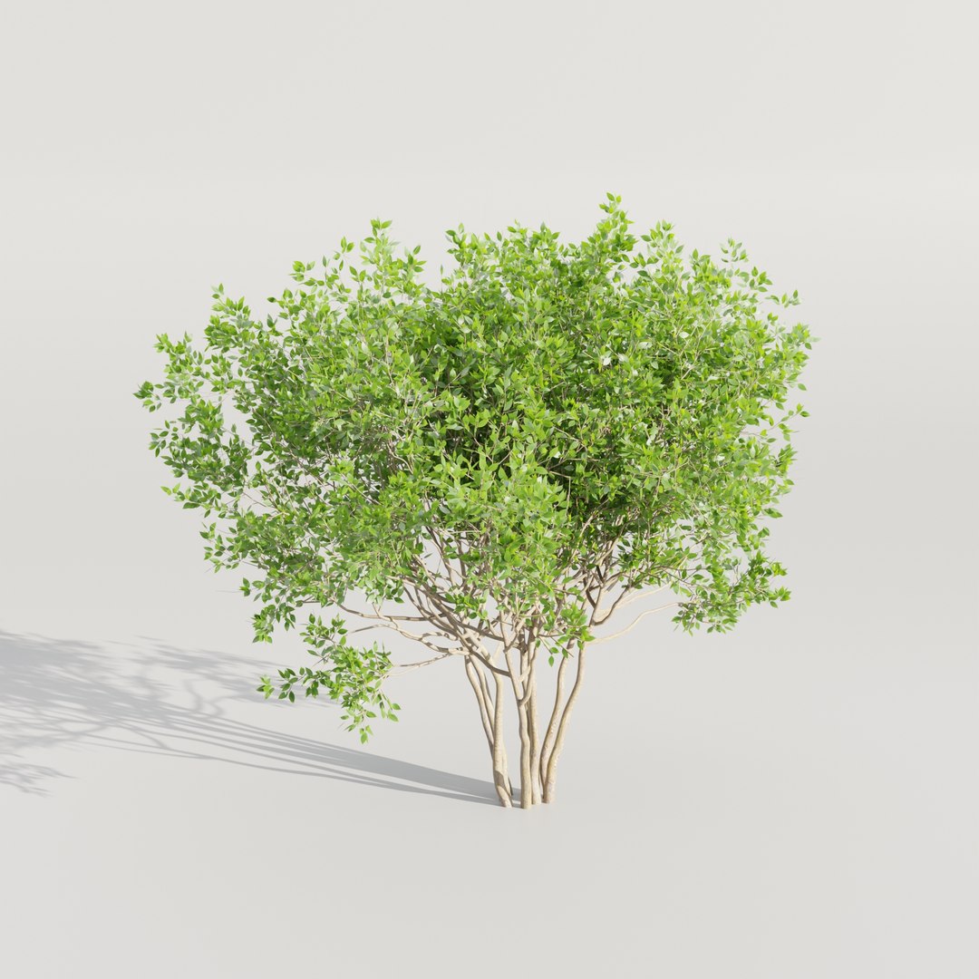 3D collection of bushes vol 164-Blender model - TurboSquid 2154574