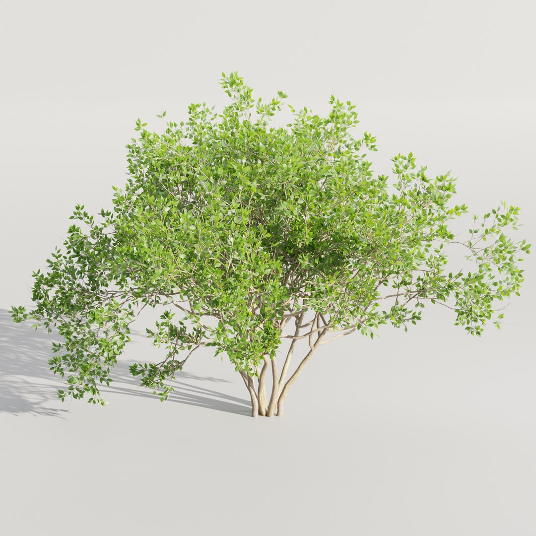 3D collection of bushes vol 164-Blender model - TurboSquid 2154574