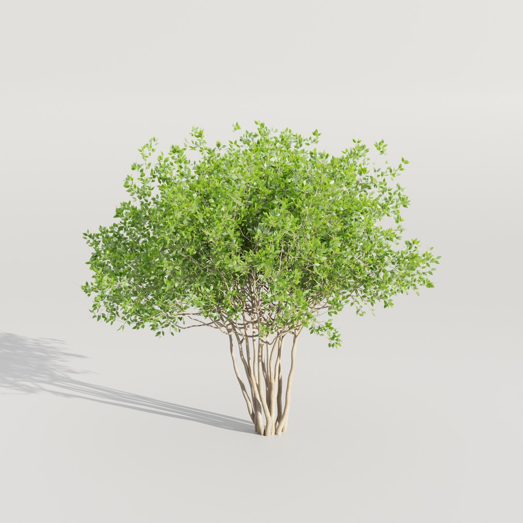 3D collection of bushes vol 164-Blender model - TurboSquid 2154574