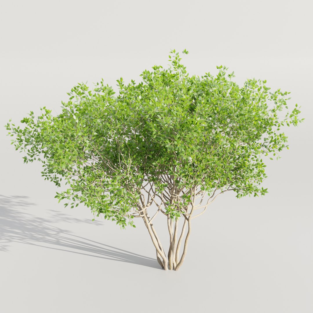 3D collection of bushes vol 164-Blender model - TurboSquid 2154574